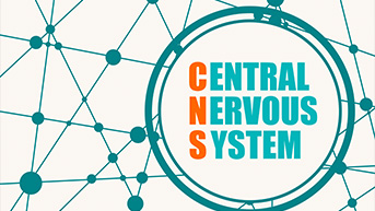 The Role of a Neuro-Oncologist in Cancer Care | Kelsey-Seybold Clinic